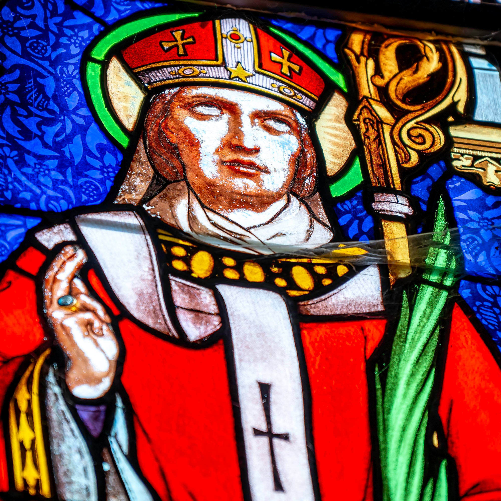 Adopt a Star from the Constellation of Saint Felix – Chateau de Lalande