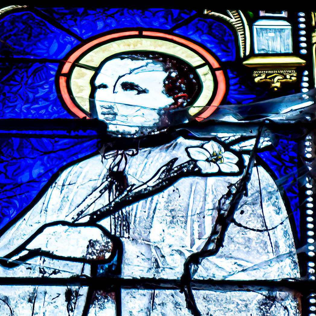 Adopt a Star from the Constellation of Saint Aloysius – Chateau de Lalande